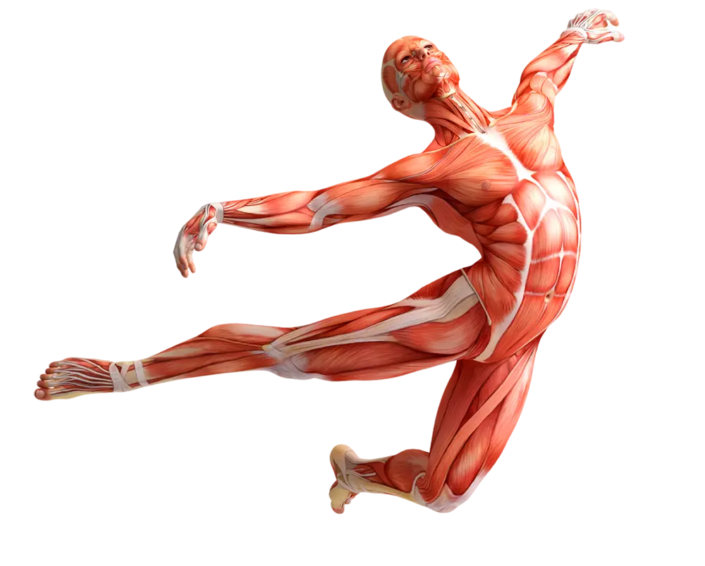 Bio- Metrics Vs Products – Metrics – KS CARE